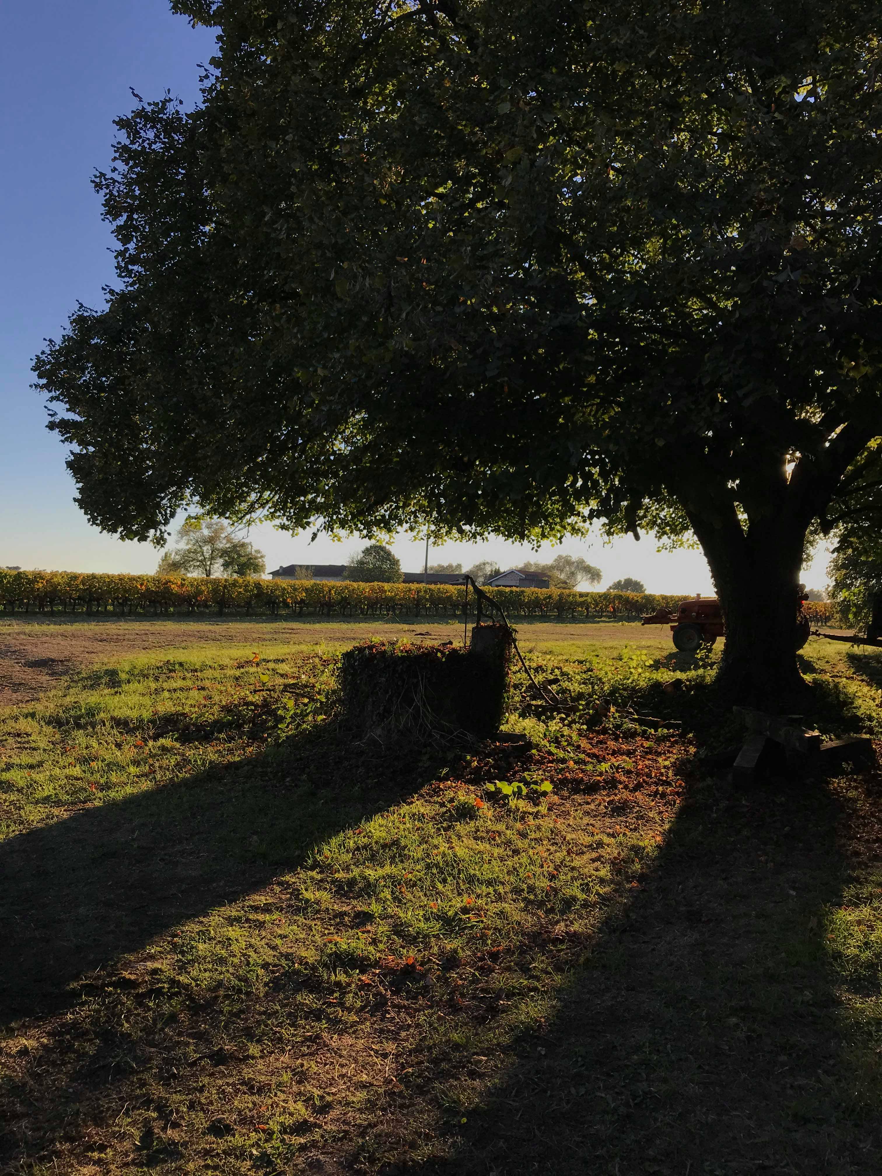 Le point info - CAVIGNAC